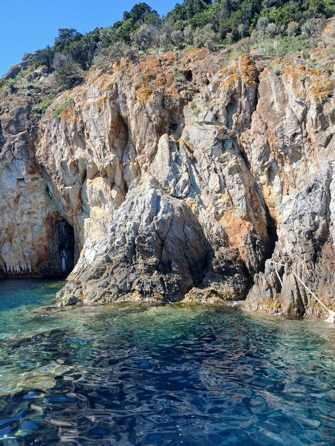 Togliere le cime abbandonate sulla scogliera dell’Enfola